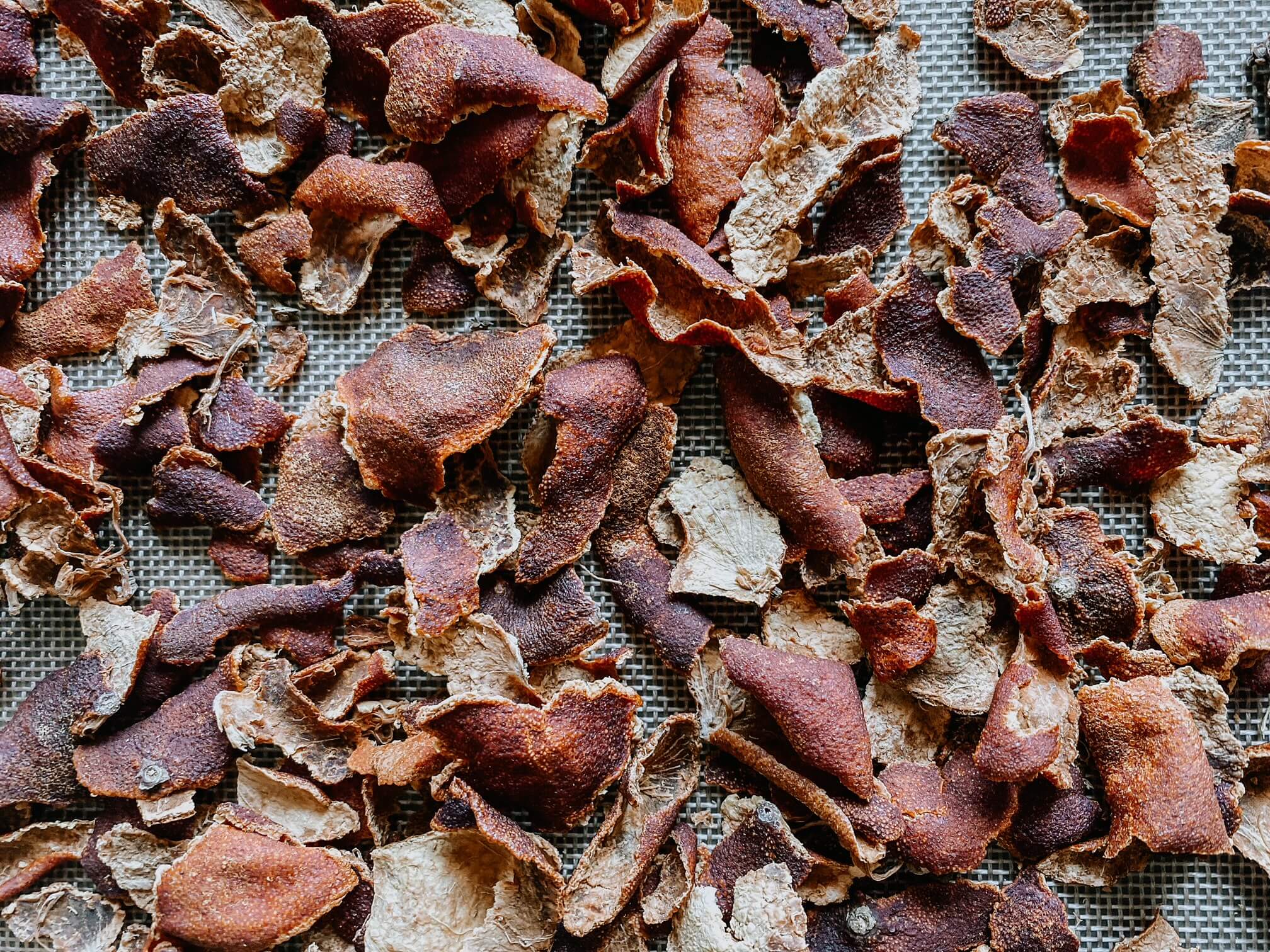 How to Make Orange Peel Powder - The Simple Homeplace