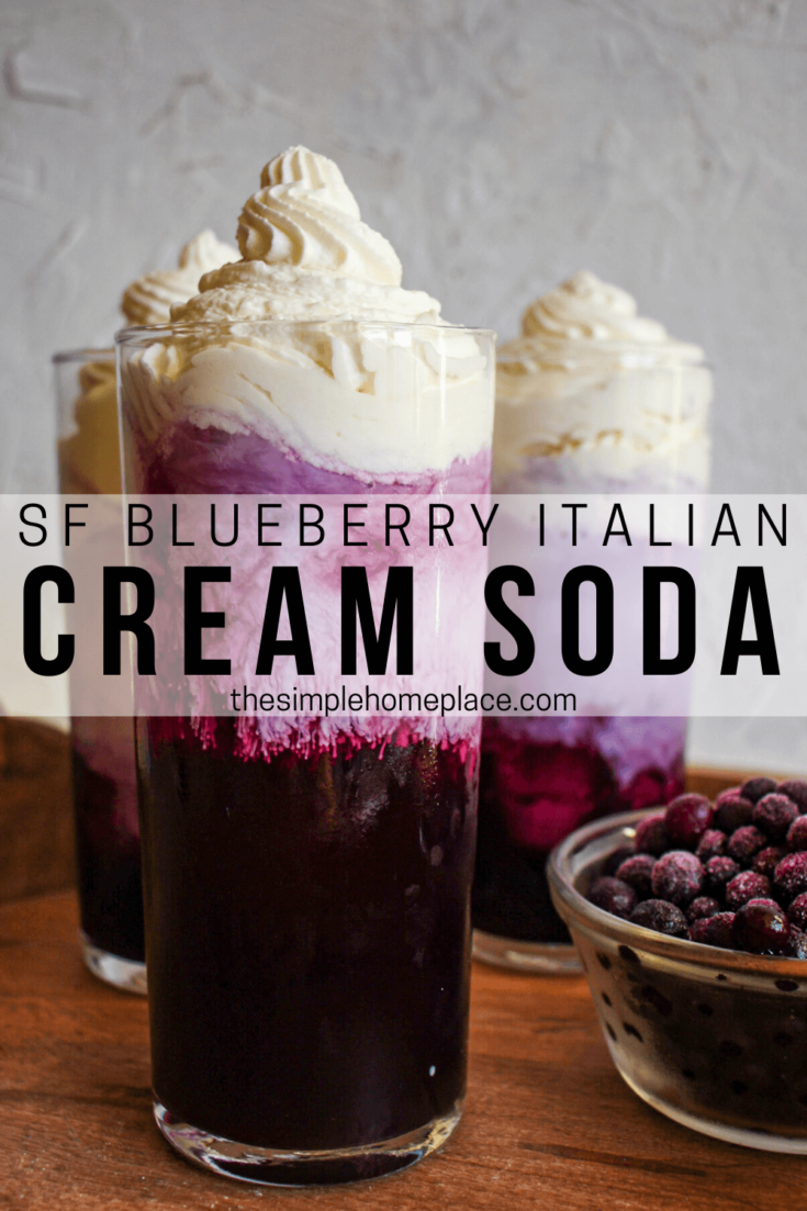 Sugar Free Blueberry Italian Cream Soda - The Simple Homeplace