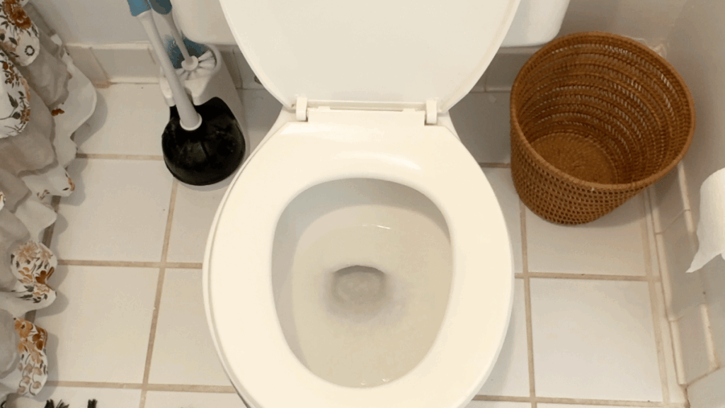 Simple & Effective 3 Ingredient DIY Toilet Bowl Cleaner - The Simple ...